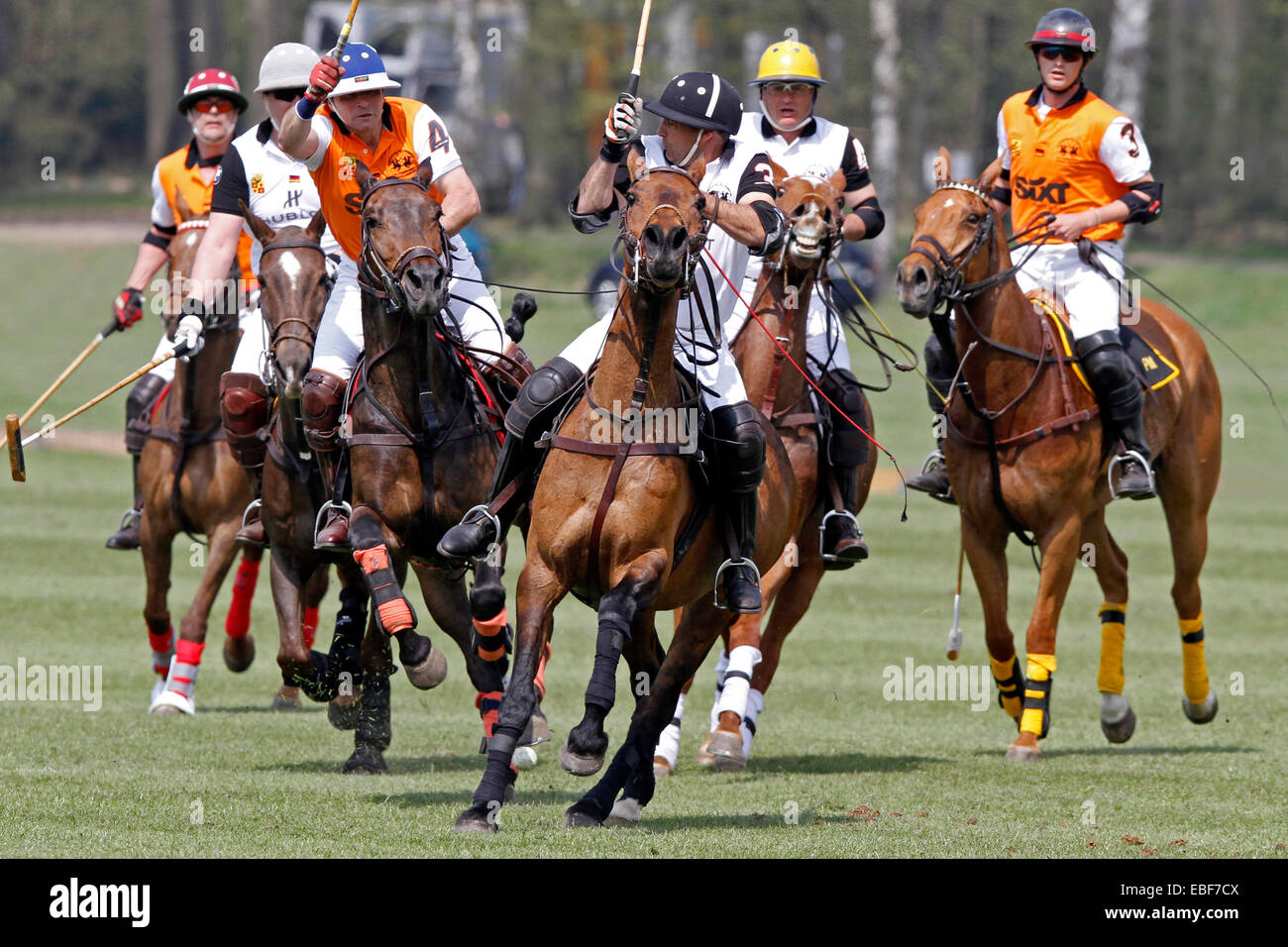 Polo players fight on the ball, Bucherer High Goal Polo Cup, Gut Aspern ...