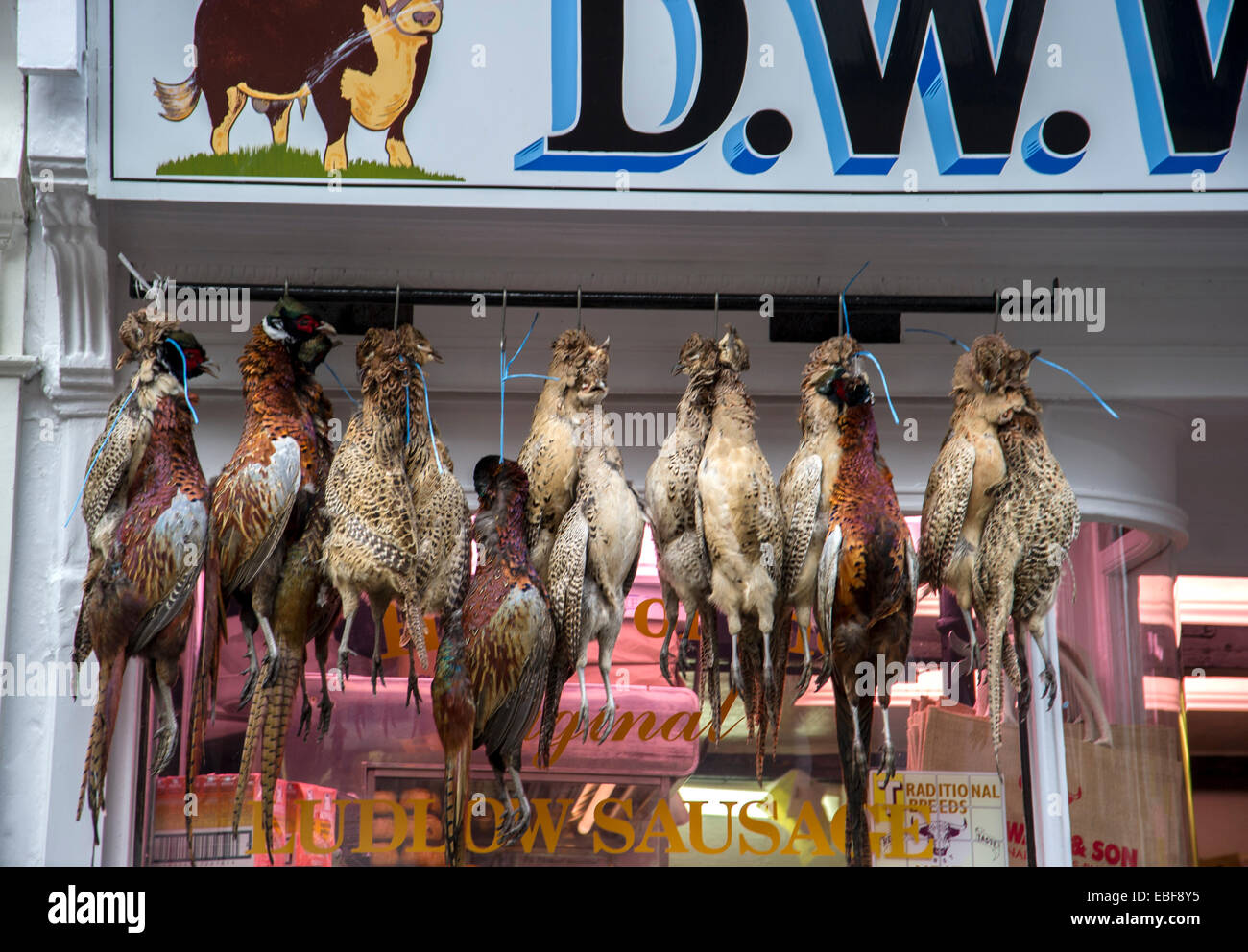 Meat hanging in butcher shop hi-res stock photography and images - Alamy