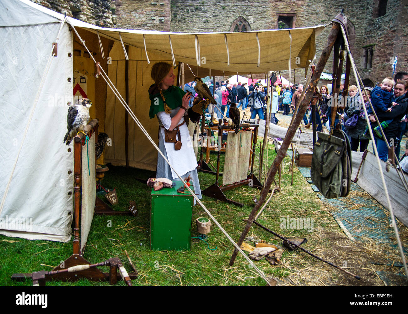 Medieval falconry hi-res stock photography and images - Alamy