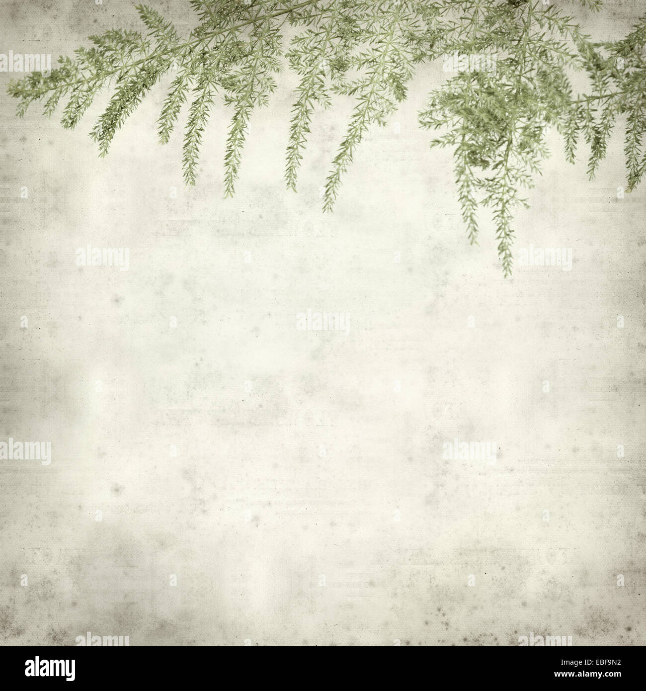 textured old paper background with Lace Fern leaf Stock Photo - Alamy