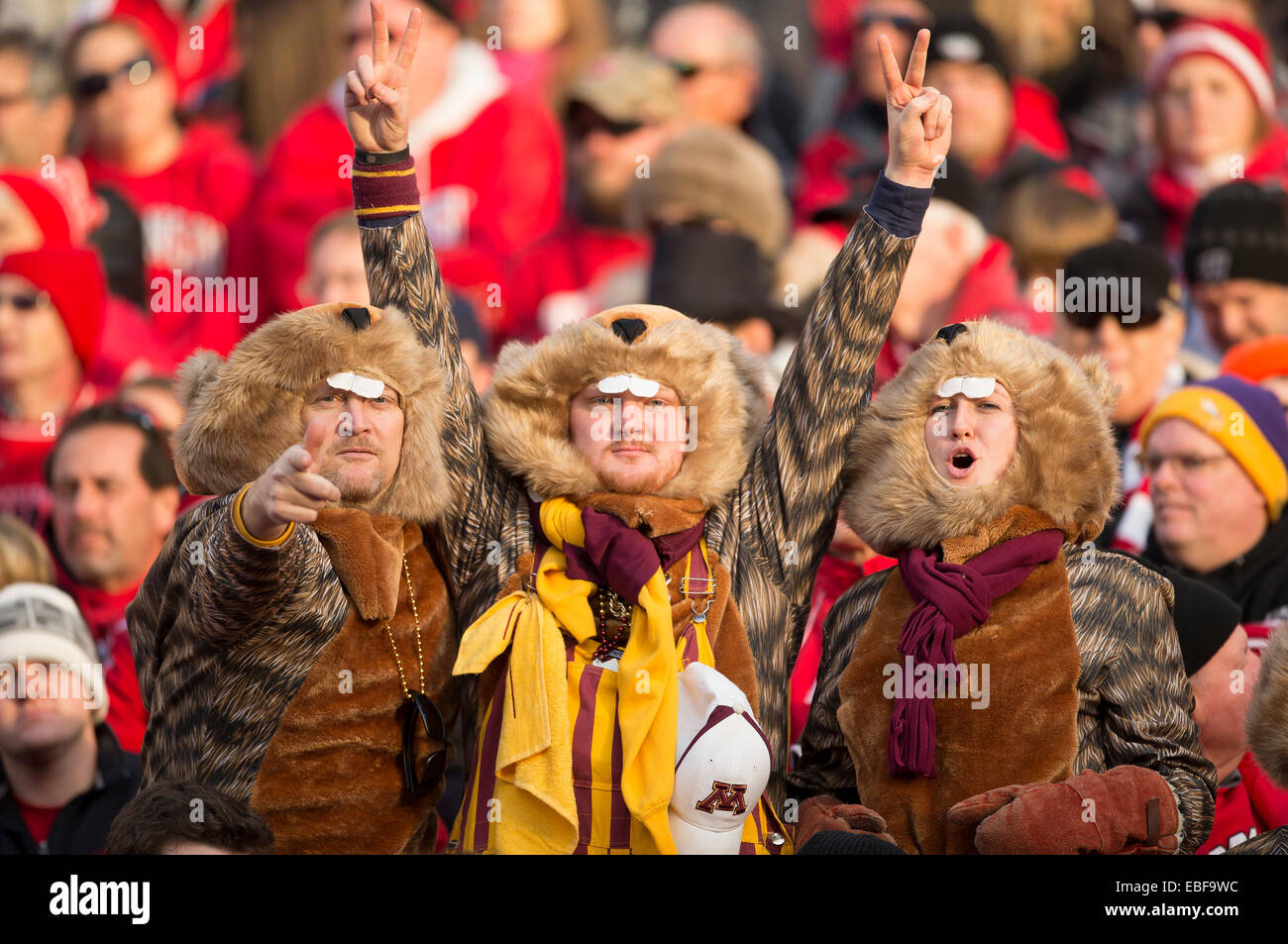 Camp randall madison fans hi-res stock photography and images - Alamy