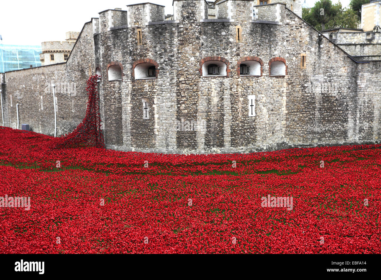 Poppys tower of london hi-res stock photography and images - Alamy