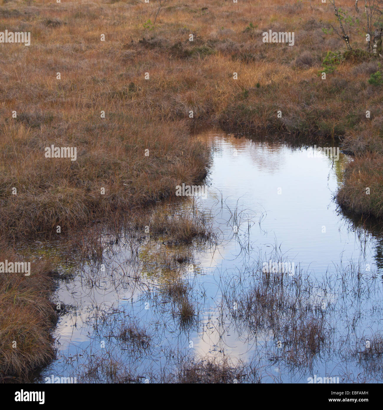 Small water tarn hi-res stock photography and images - Alamy
