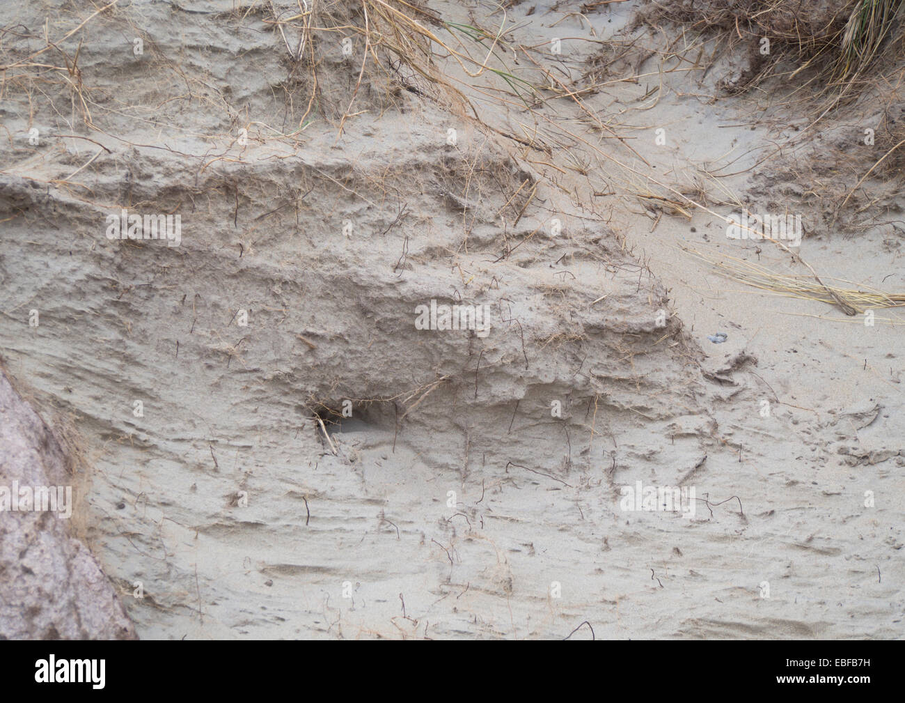 Wind erosion hi-res stock photography and images - Alamy