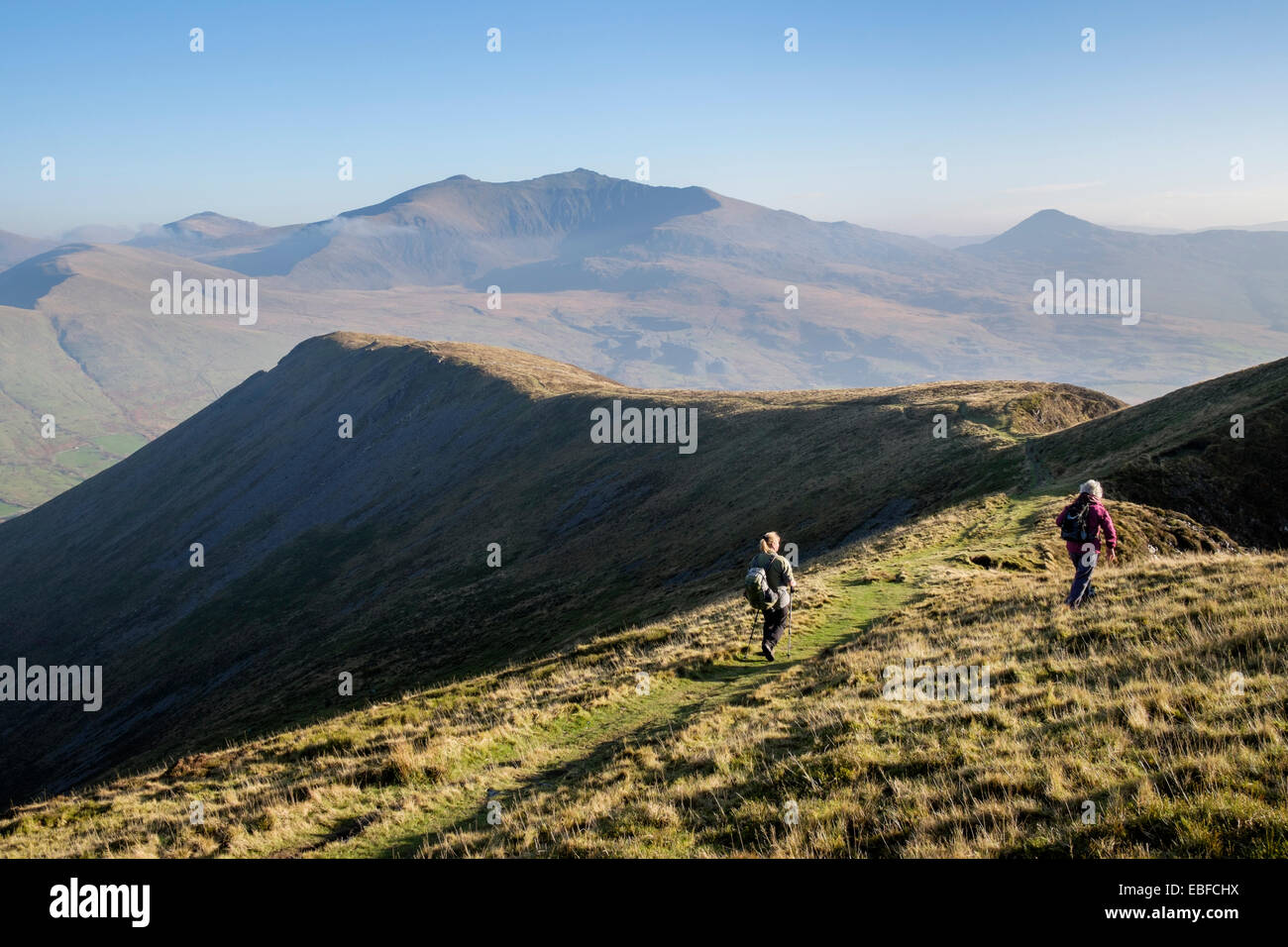 Hikers hiking on Mynydd Mawr ridge with view to Mount Snowdon in ...