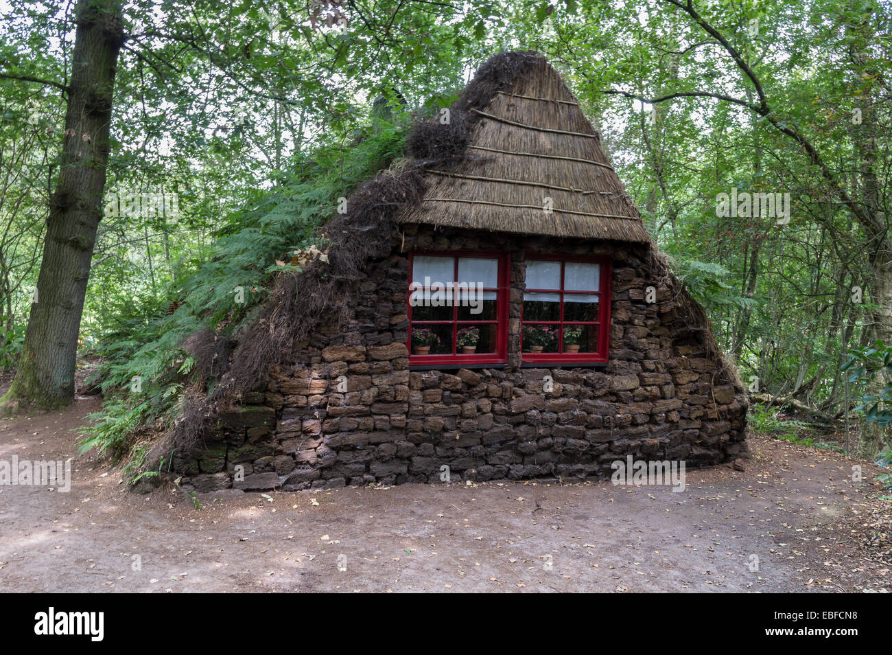 old peat house in holland province drenthe in the middle of the forest Stock Photo - Alamy