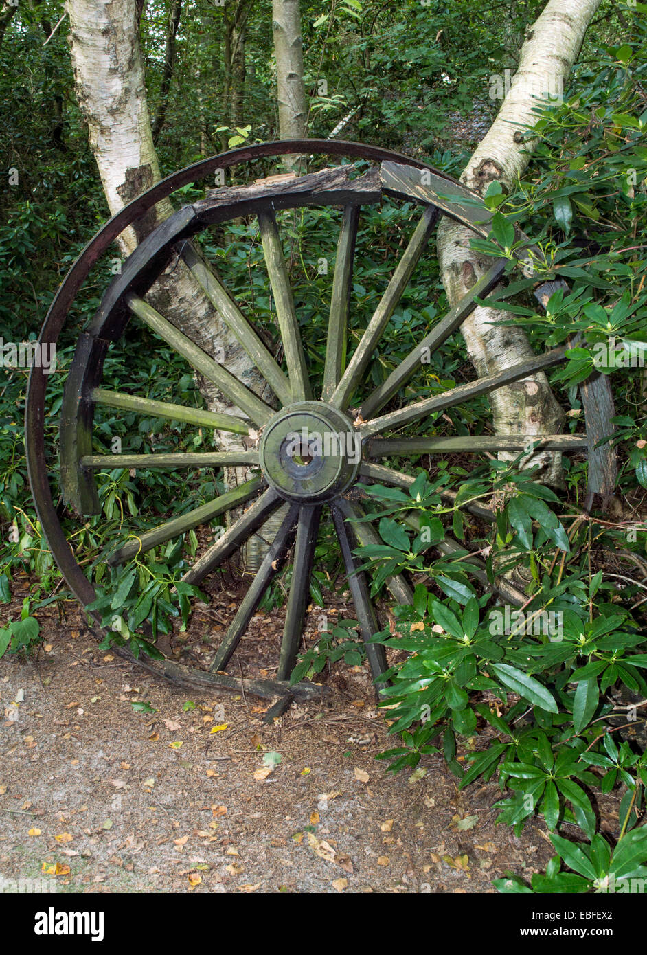 old wooden coach wheel in forest Stock Photo - Alamy