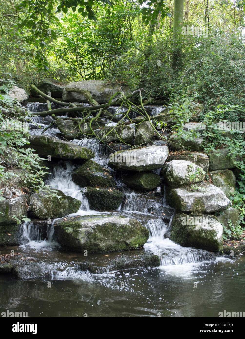 Green trees and water flow hi-res stock photography and images - Alamy