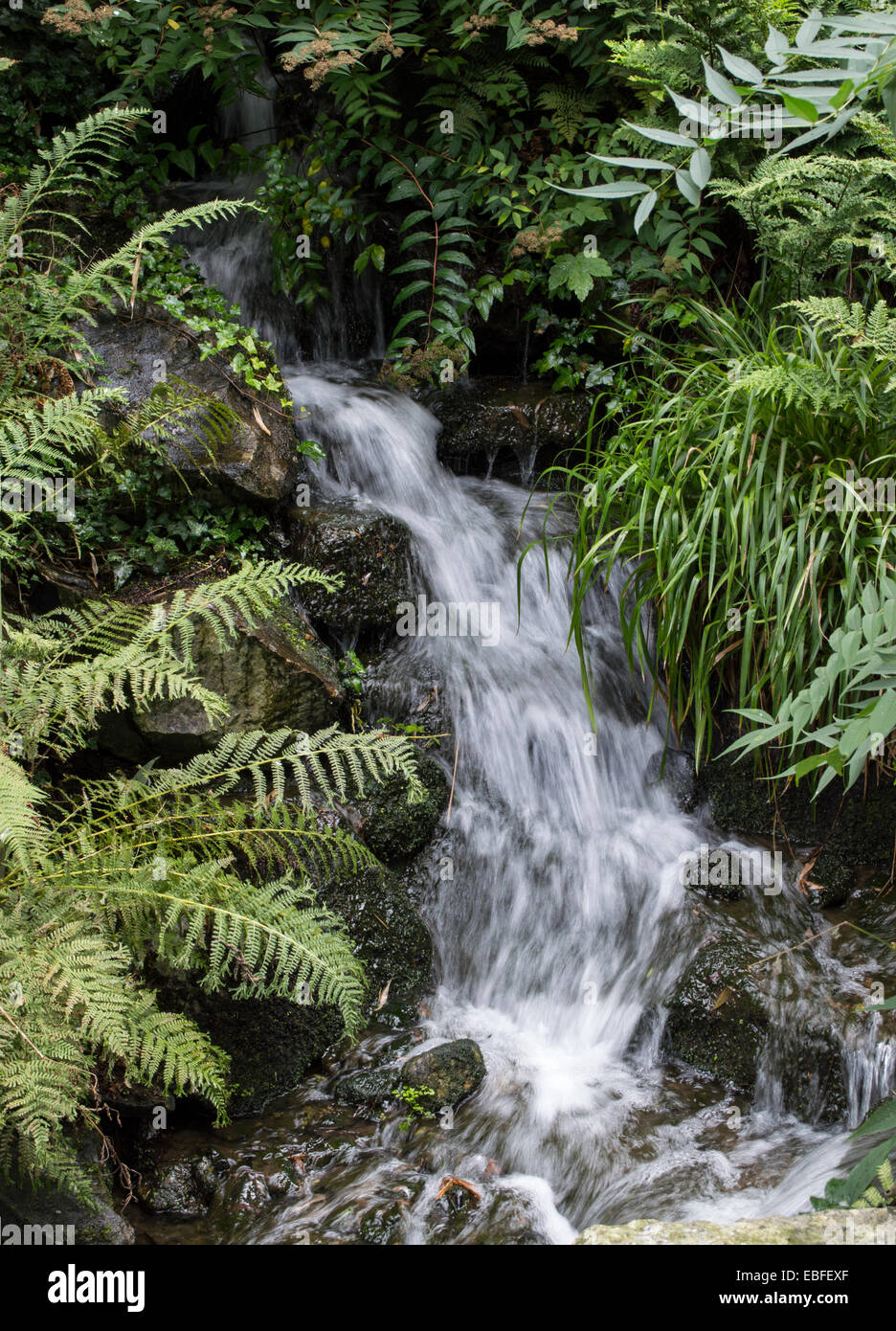 green forest trees with waterfall Stock Photo - Alamy