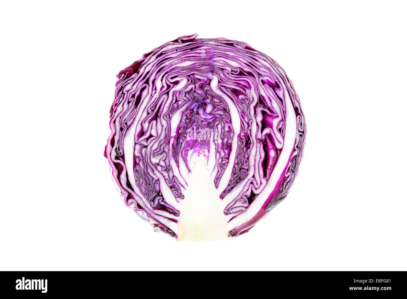 Cross section half of a red cabbage on white background Stock Photo - Alamy