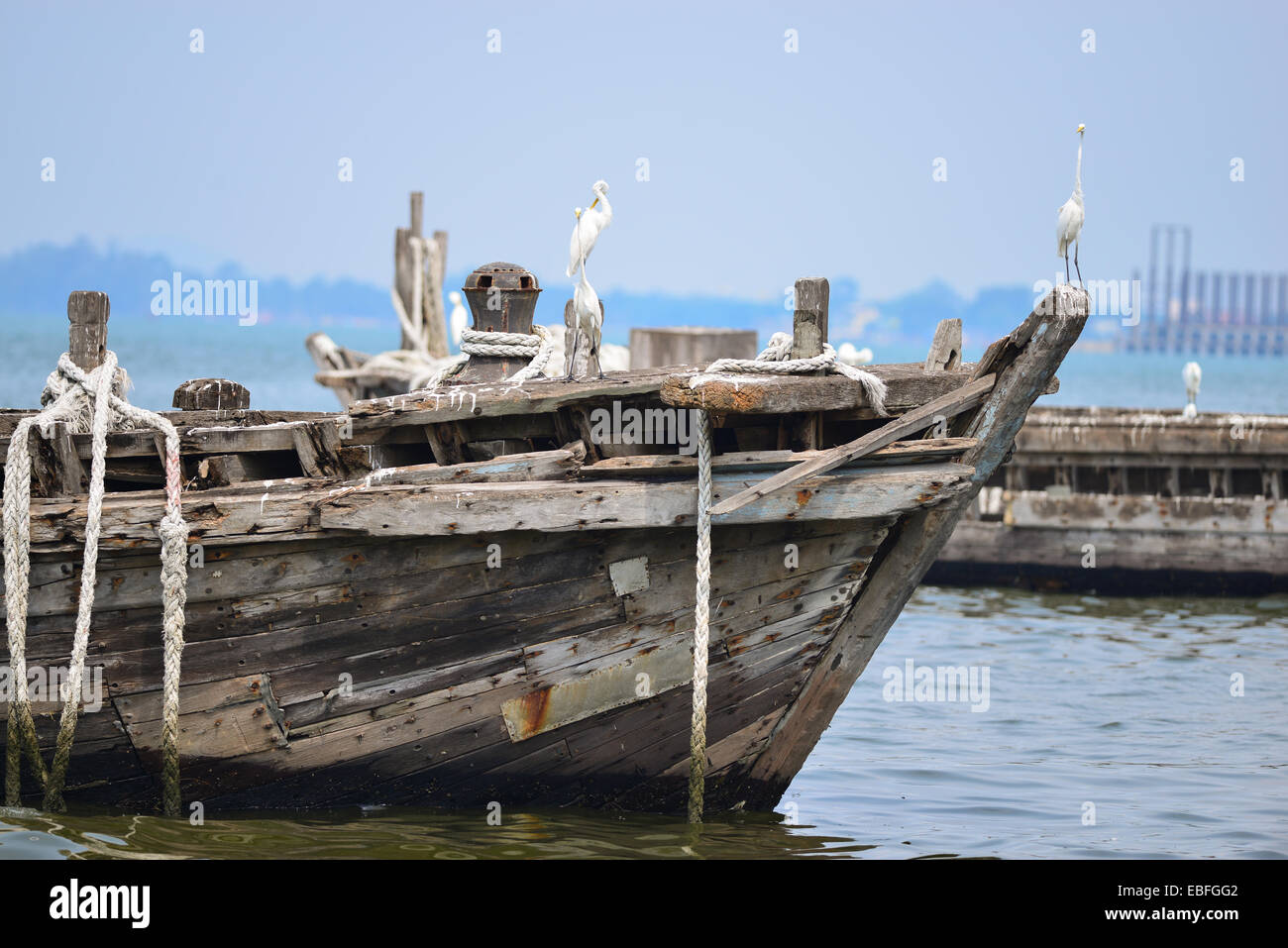 Old fishing ship with white egret in the marina Stock Photo - Alamy
