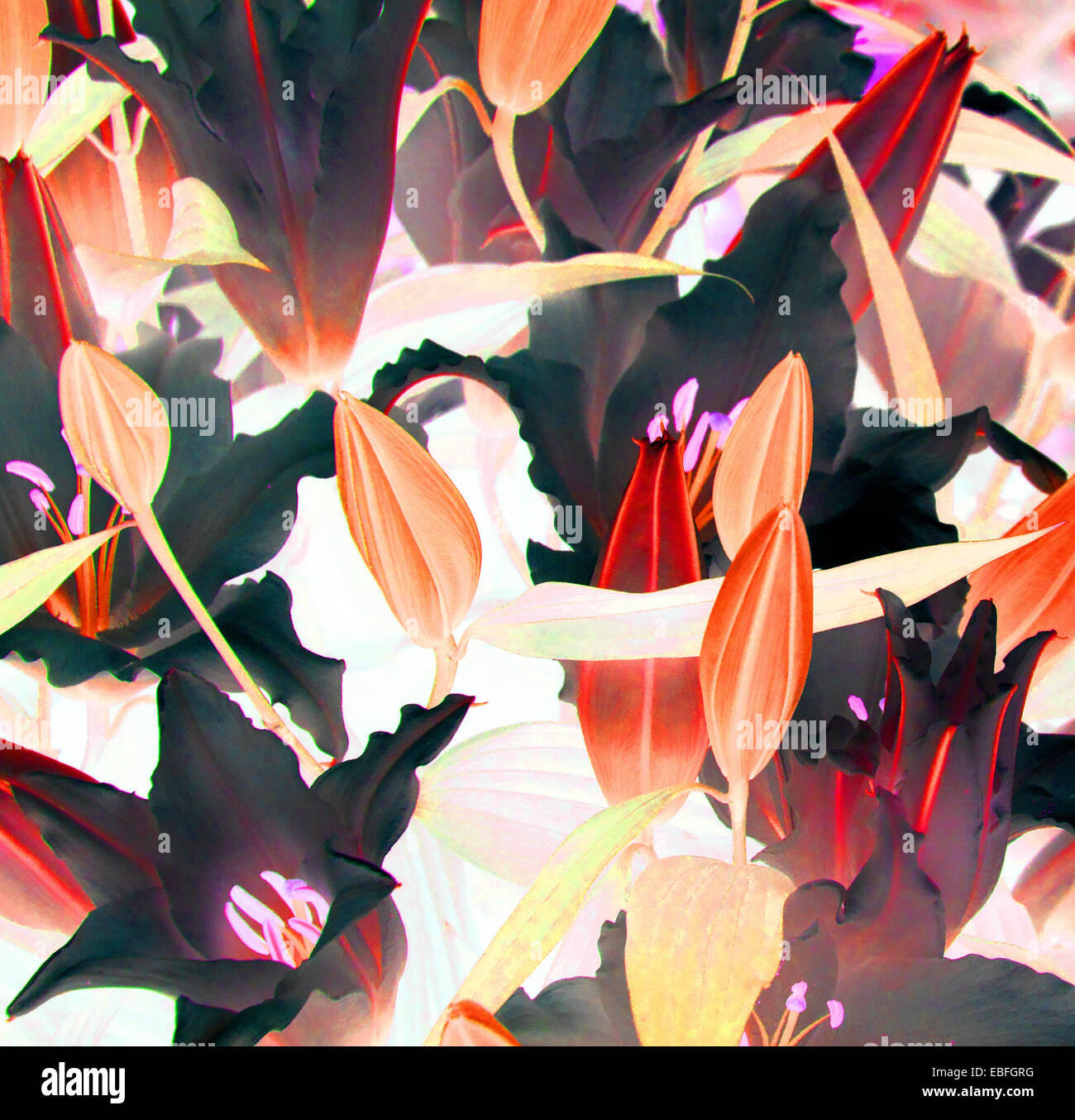 Digitally altered image hi-res stock photography and images - Alamy