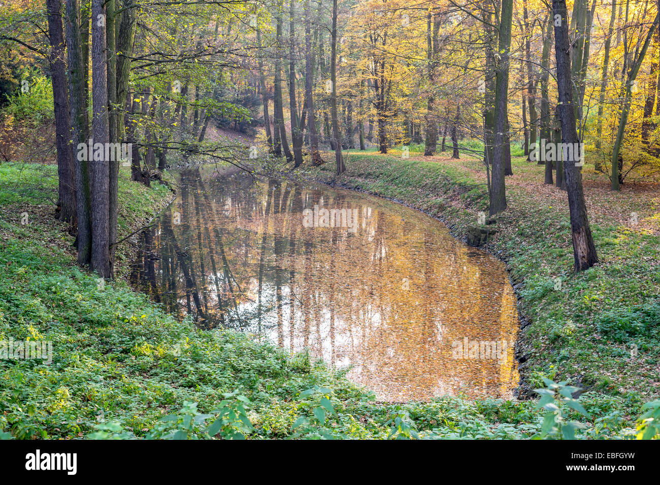 Trees around pond hi-res stock photography and images - Alamy
