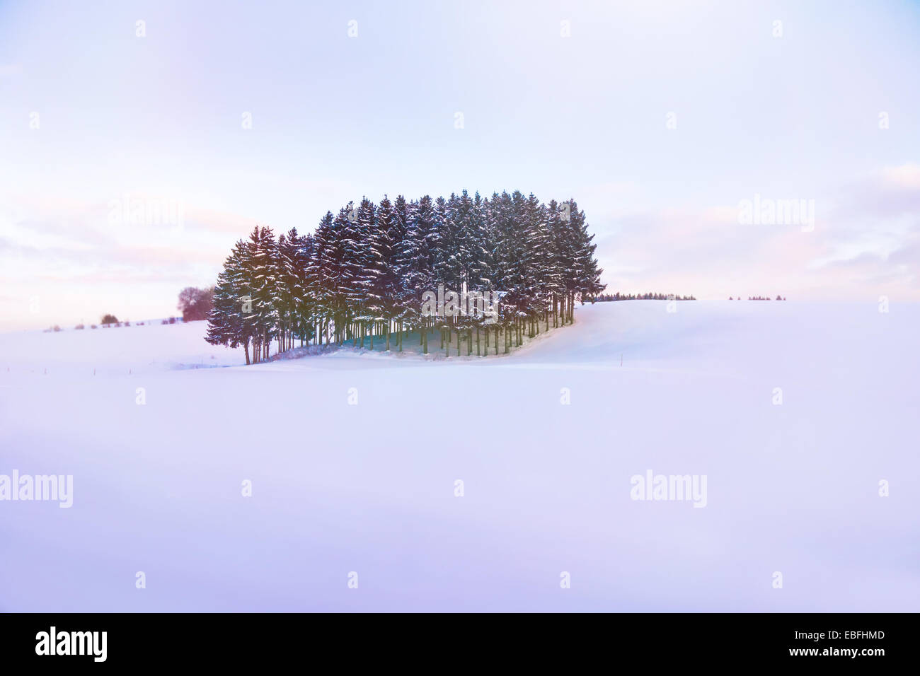 winter landscape with blue violet sky Stock Photo - Alamy