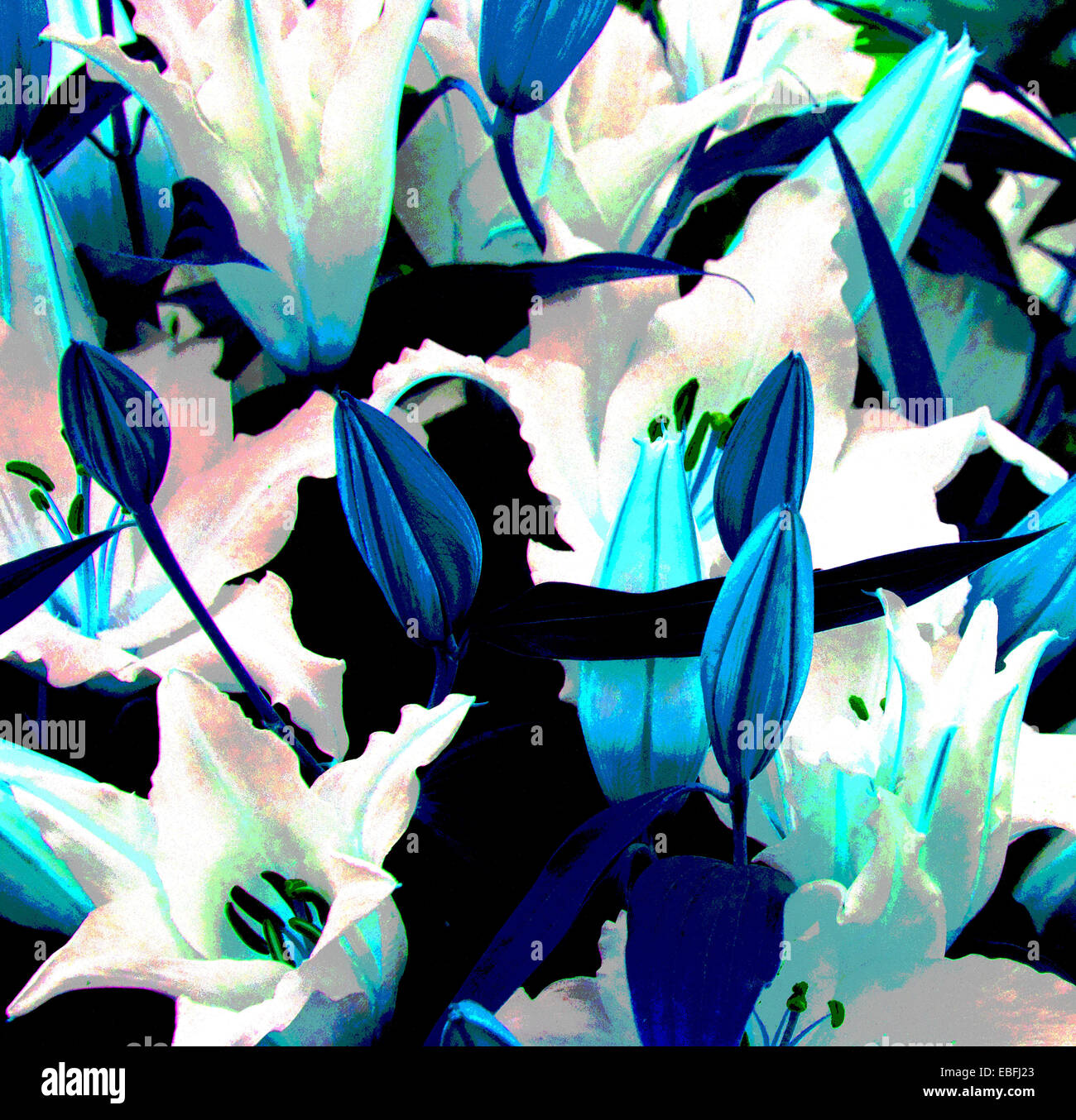Digitally altered garden, flower and plants. Colour changes Stock Photo ...