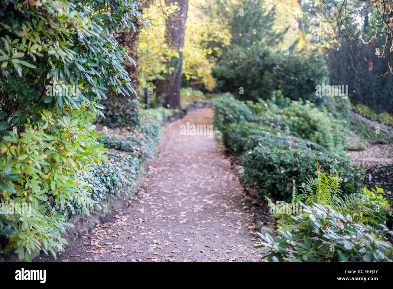 Wroclaw Botanical Gardens in autumn Stock Photo - Alamy
