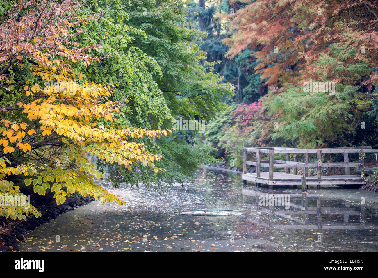 Wroclaw botanical gardens hi-res stock photography and images - Alamy