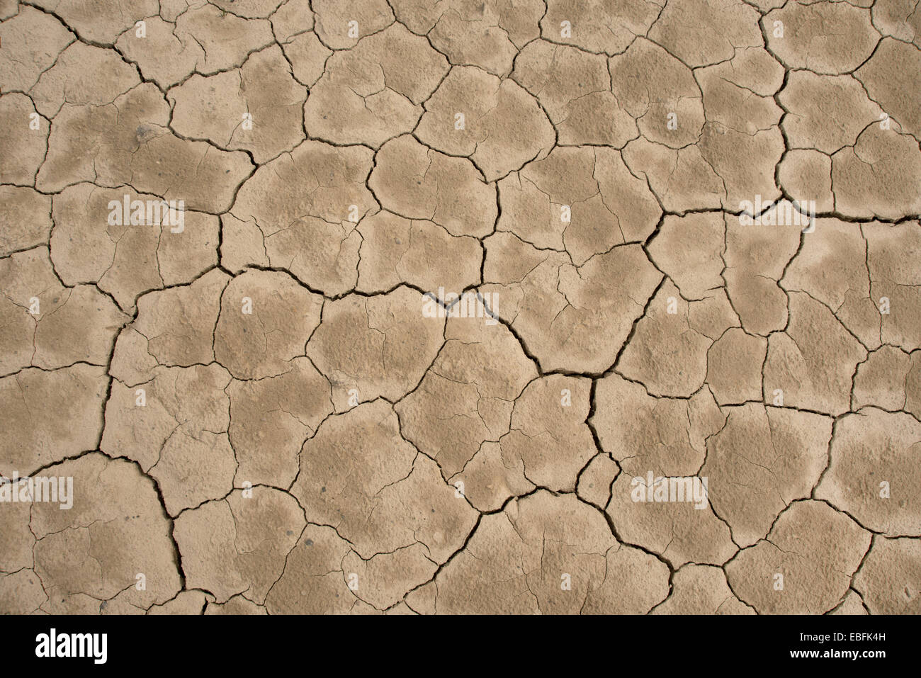 This is a shot of dried and eroded land Stock Photo - Alamy