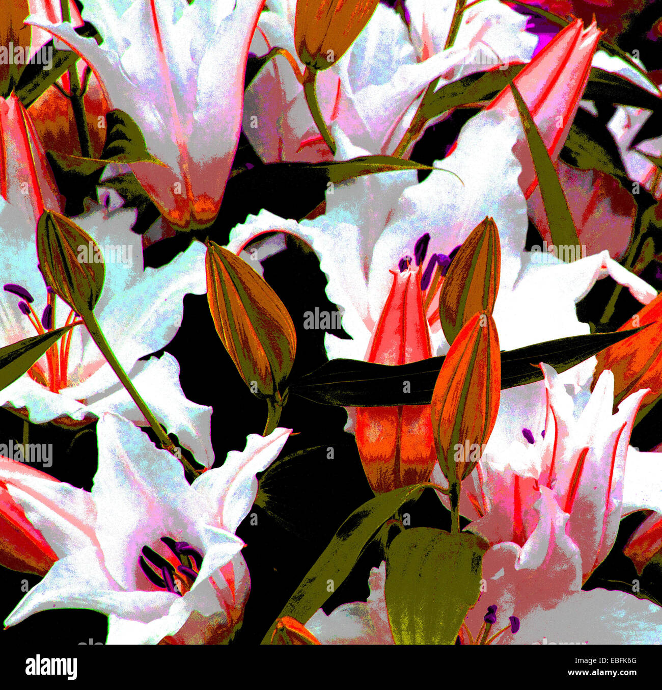 Altered garden images hi-res stock photography and images - Alamy