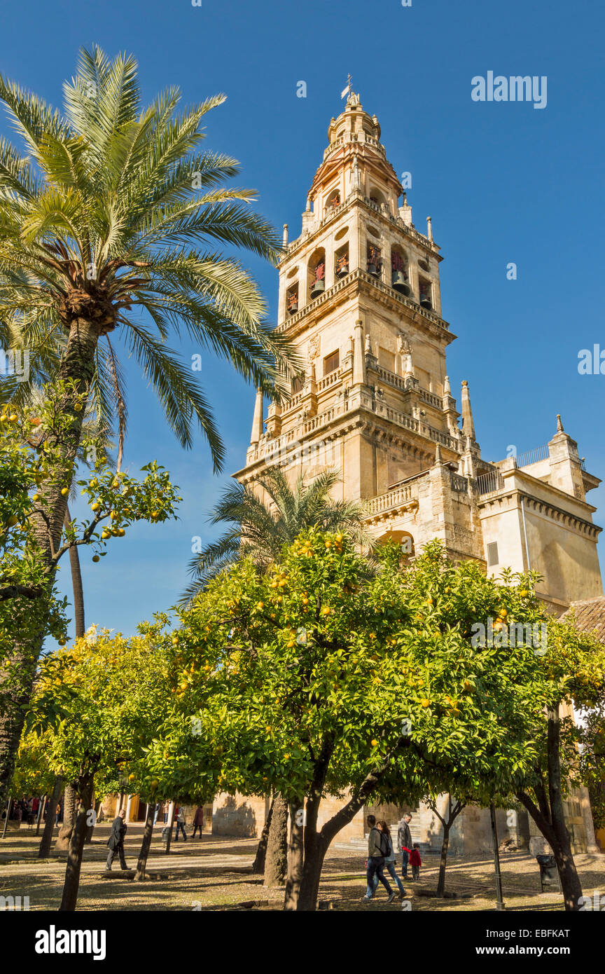 MOSQUE CATHEDRAL OR MEZQUITA CORDOBA ORANGE TREES IN THE COURTYARD AND ...
