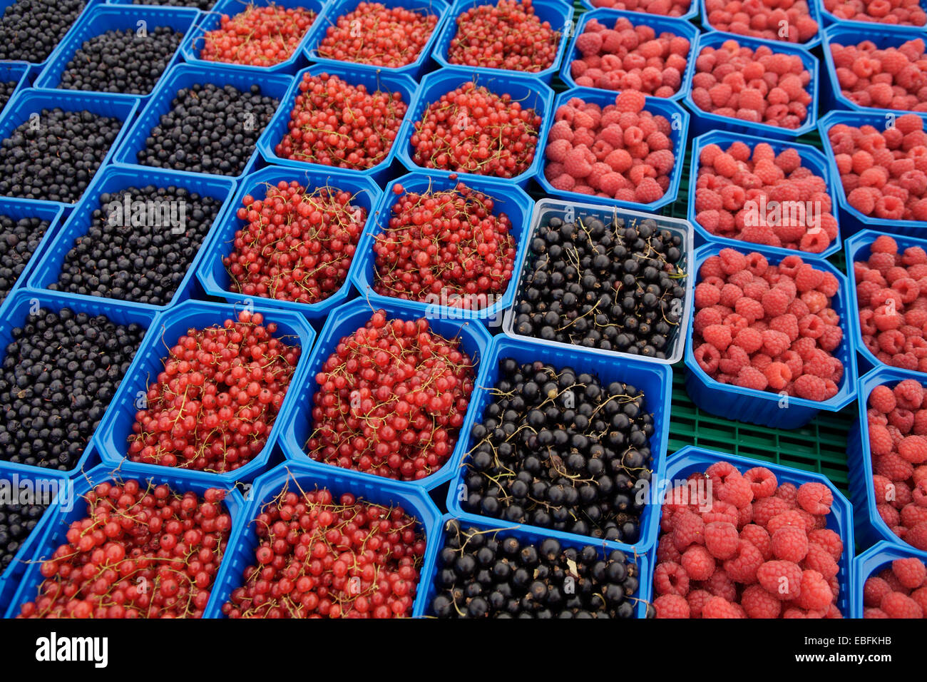 Berries, Stockholm, Sweden Stock Photo - Alamy
