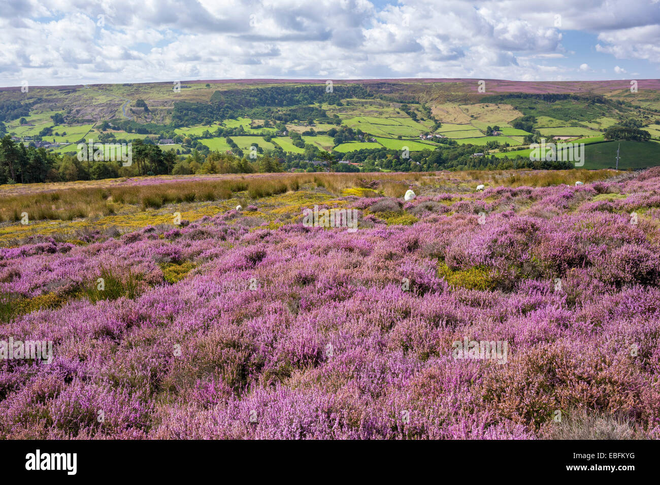 Rosedale abbey, north yorkshire moors hi-res stock photography and ...
