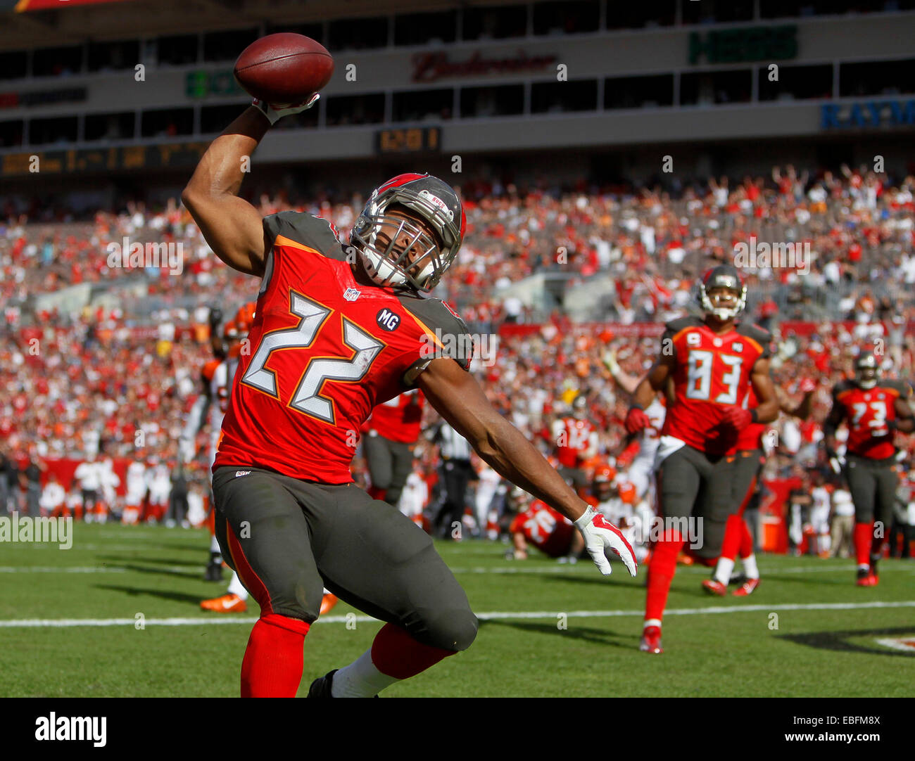 Nov. 30, 2014 - Tampa, Florida, U.S. - DIRK SHADD | Times .Tampa Bay ...