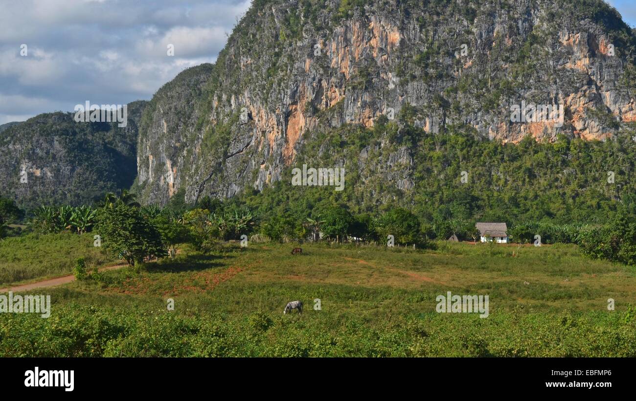 A farm building in the rural Vinales region of western Cuba Stock Photo ...
