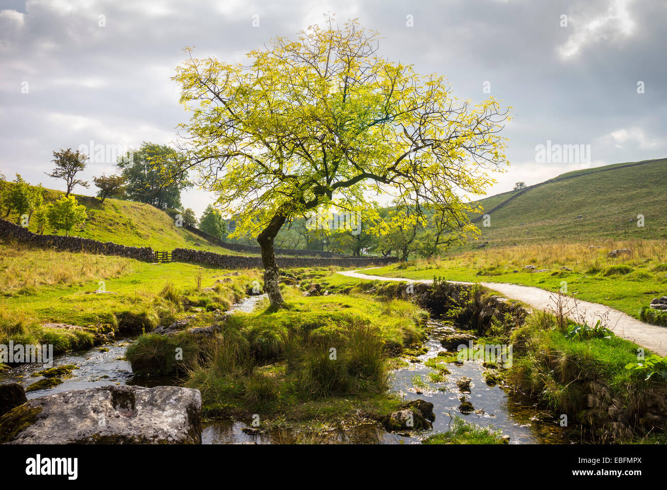 Malham beck hi-res stock photography and images - Alamy
