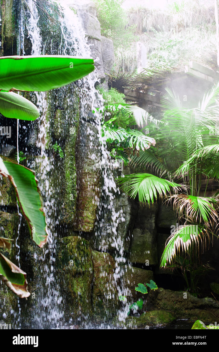 Beautiful view of waterfall in jungle Stock Photo - Alamy
