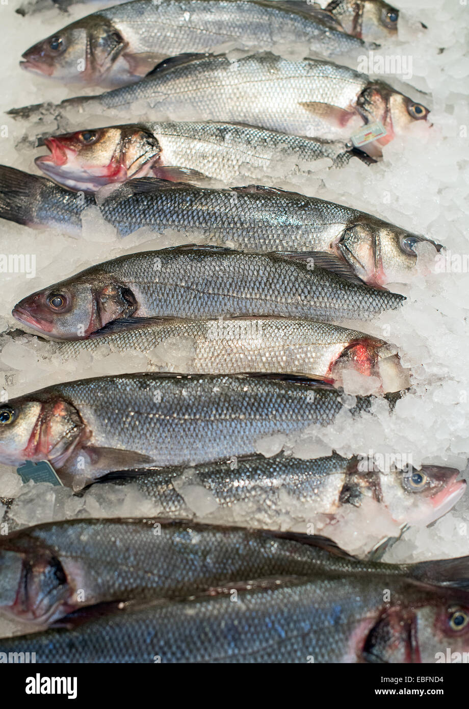 Frozen fish hi-res stock photography and images - Alamy