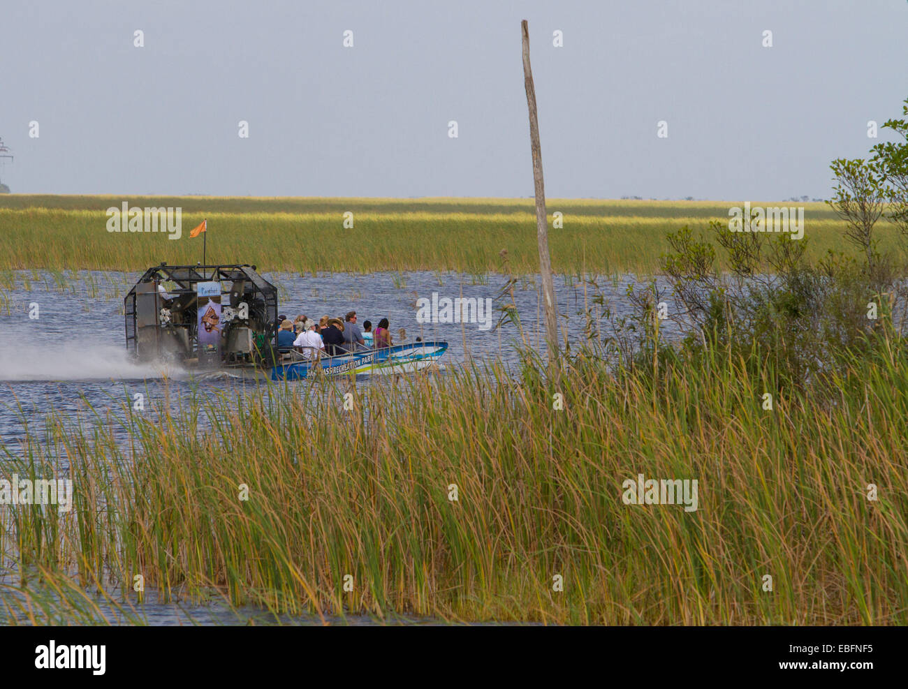 Sawgrass Recreation Park airboat tours west of Fort Lauderdale on the ...