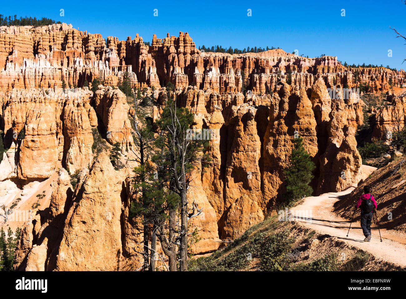 Female hiker on the Peekaboo Loop Trail, Bryce Amphitheater hoodoos in ...