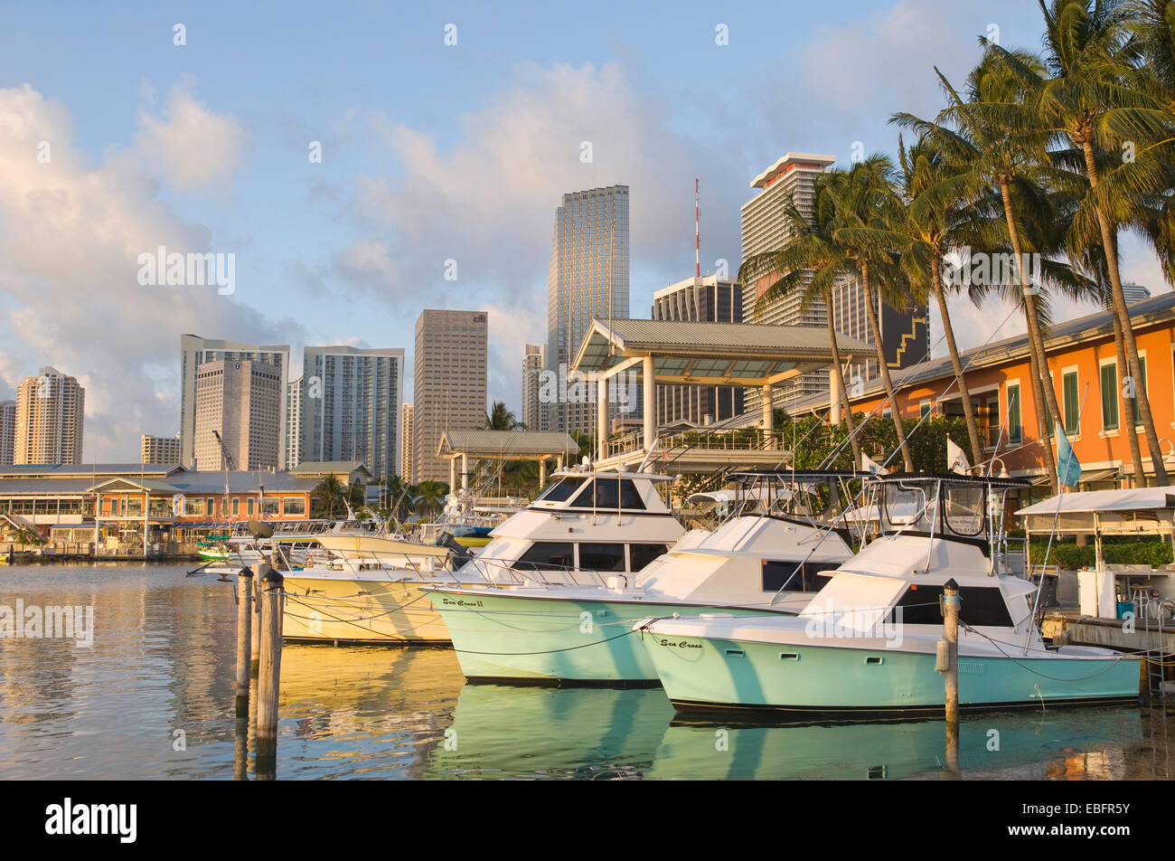 BAYSIDE MARKETPLACE MARINA DOWNTOWN SKYLINE MIAMI FLORIDA USA Stock ...