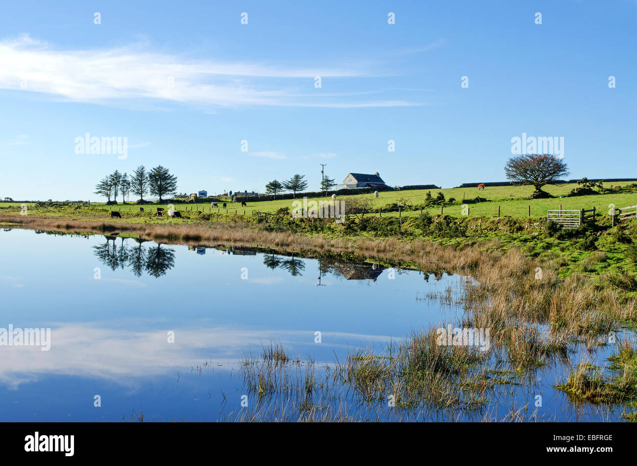 Dozmary pool on Bodmin moor in Cornwall, UK Stock Photo - Alamy