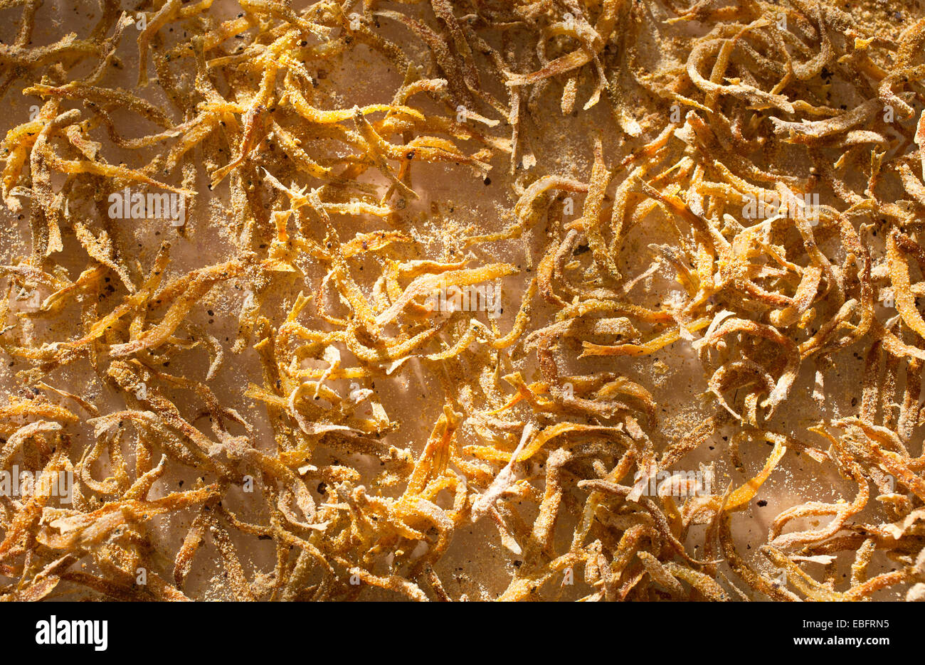 New Zealand Whitebait : (Galaxias maculatus): juvenile fishes, locally ...