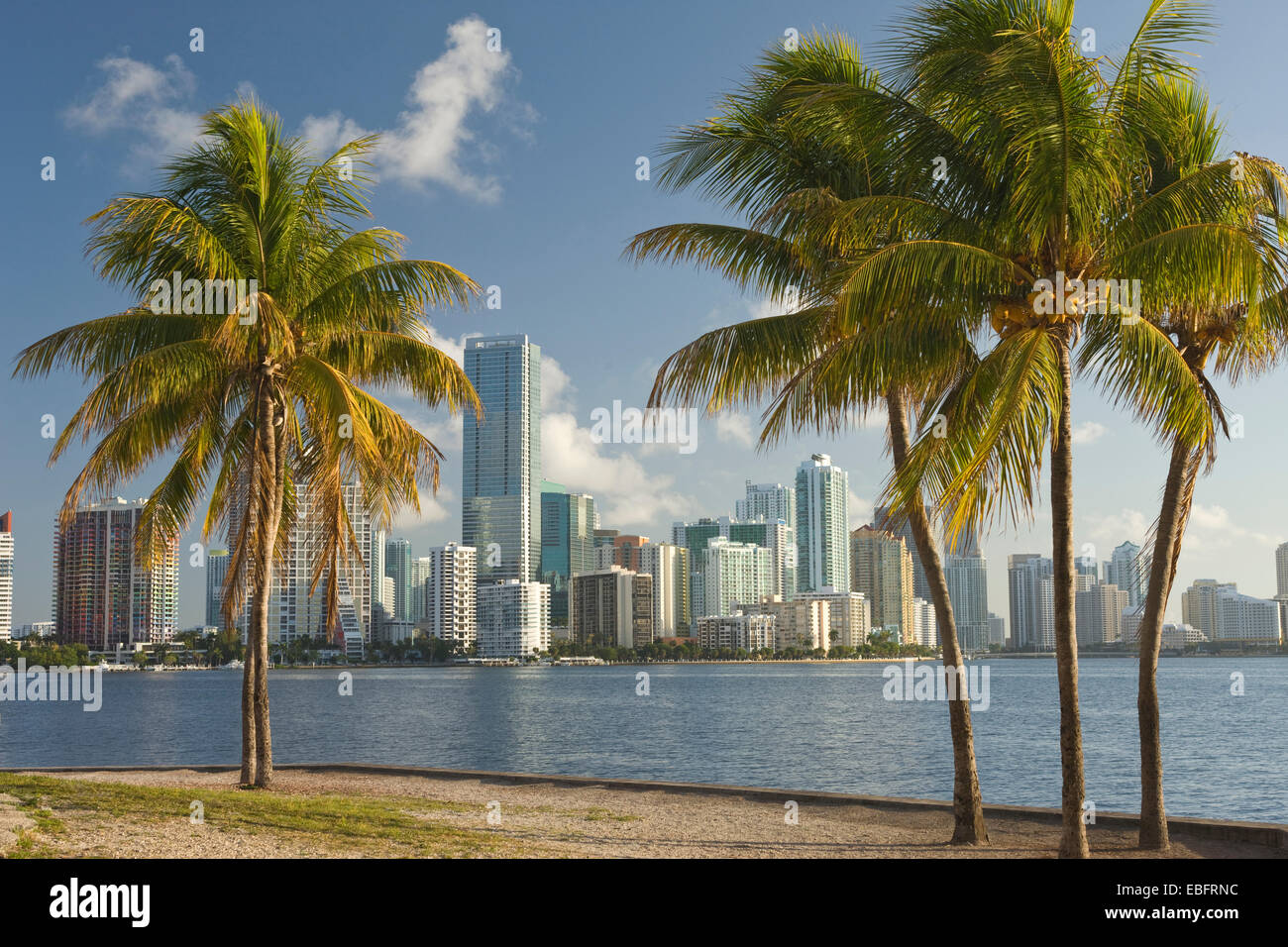 BRICKELL AVENUE SKYLINE FROM RICKENBACKER CAUSEWAY DOWNTOWN MIAMI ...