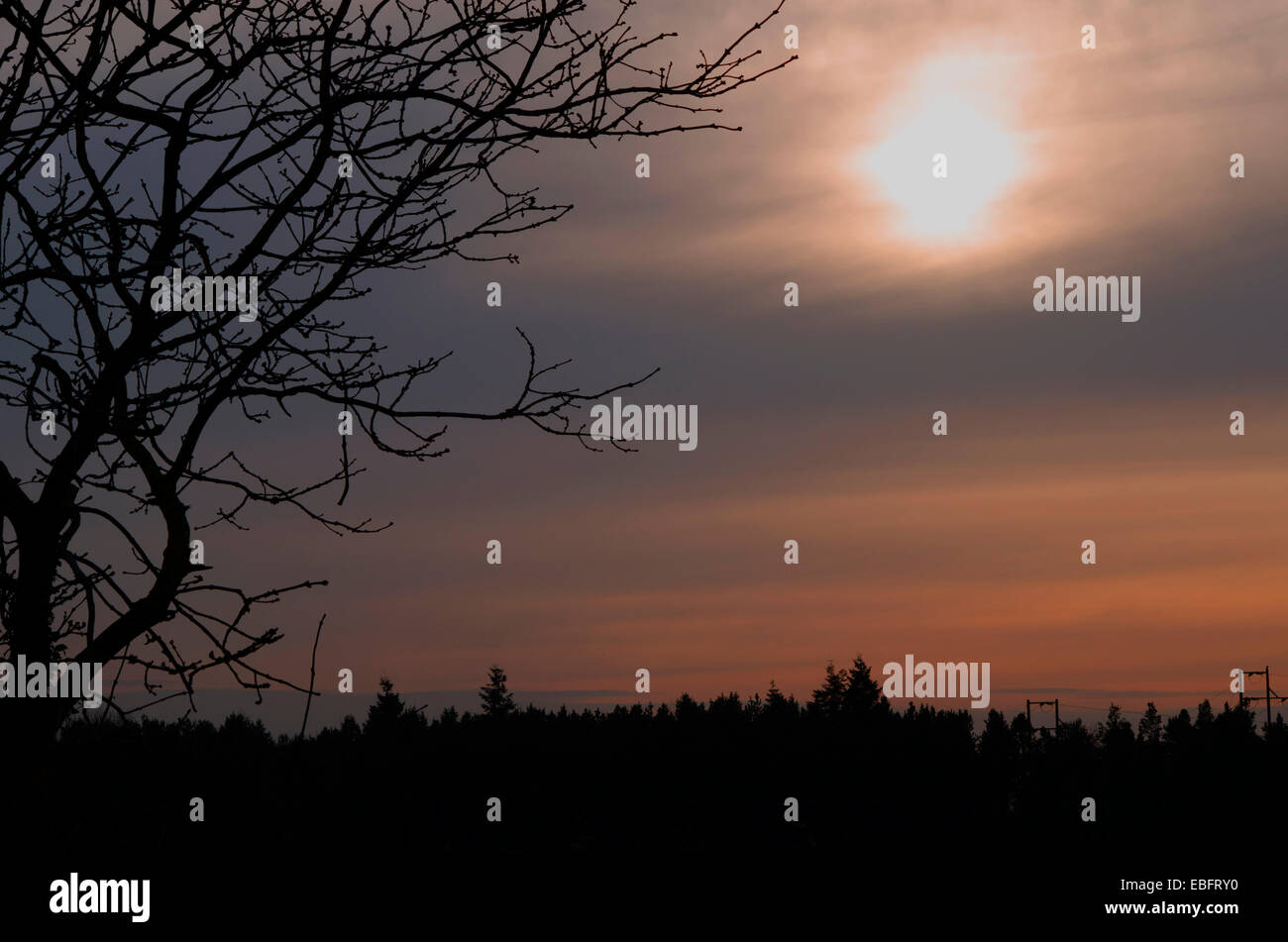 Sunset over forest Stock Photo - Alamy