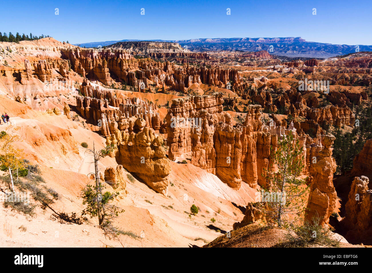 View on Bryce Amphitheater hoodoos from Sunset Point, Bryce Canyon ...