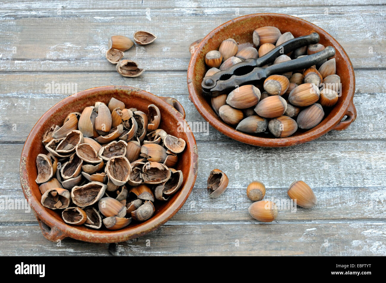 Dish of shells hi-res stock photography and images - Alamy