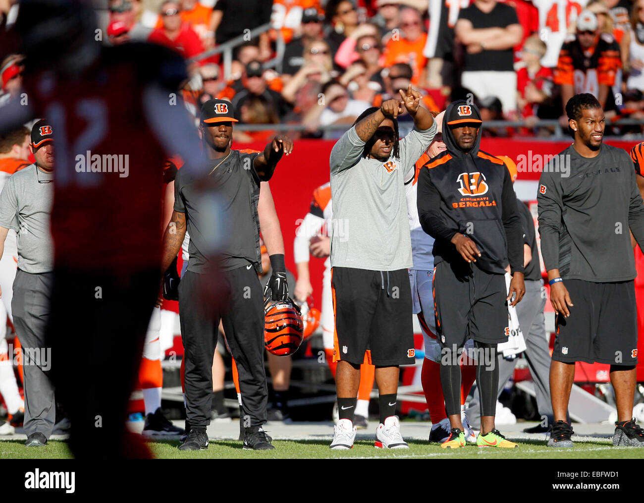 Tampa, Florida, USA. 30th November, 2014. The Cincinnati Bengals ...
