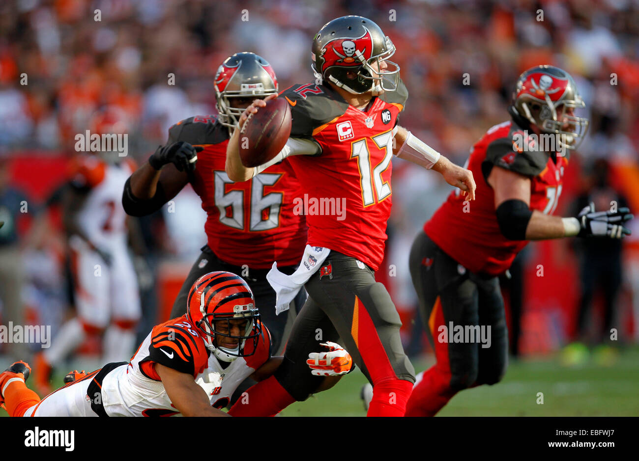 Tampa, Florida, USA. 30th November, 2014. Tampa Bay Buccaneers ...