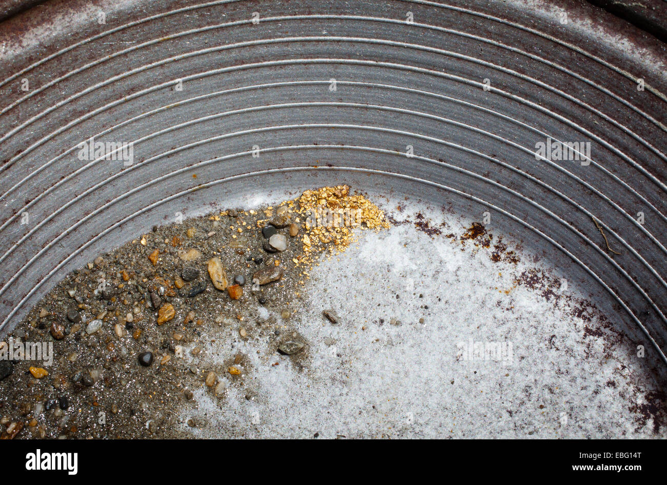 Alluvial Gold, found by the traditional panning method Stock Photo - Alamy