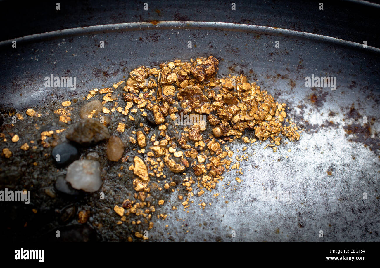 Fossick High Resolution Stock Photography and Images - Alamy