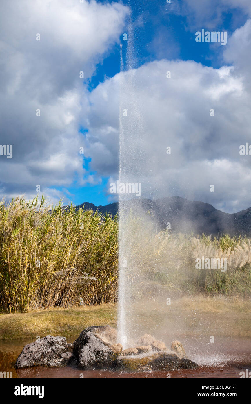 Old Faithful Geyser of California. Calistoga, California Stock Photo ...