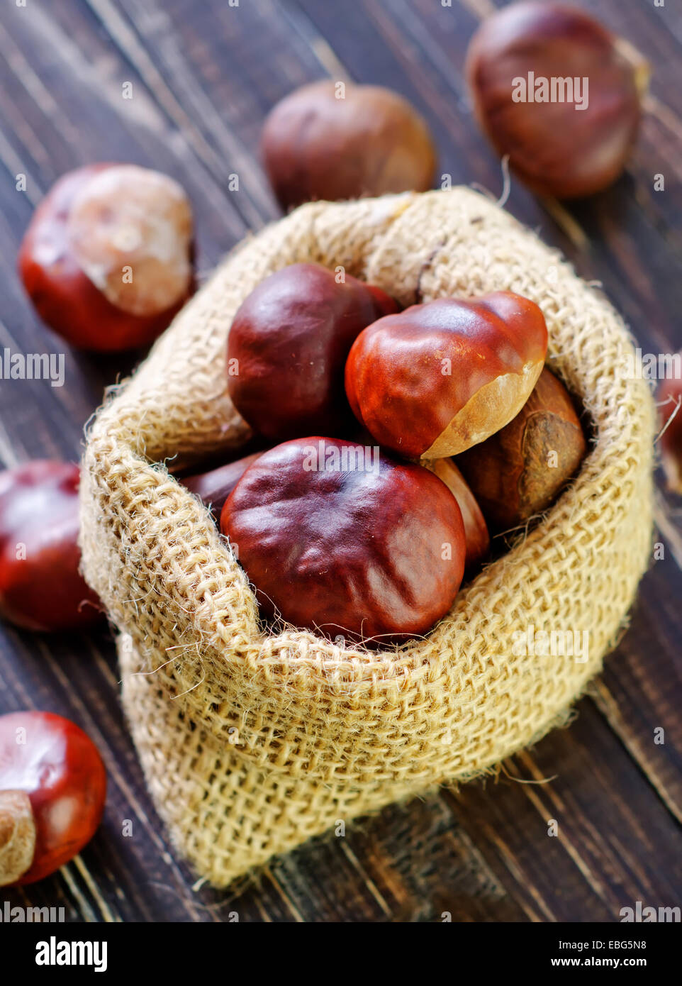 Chesnuts isolated hi-res stock photography and images - Alamy
