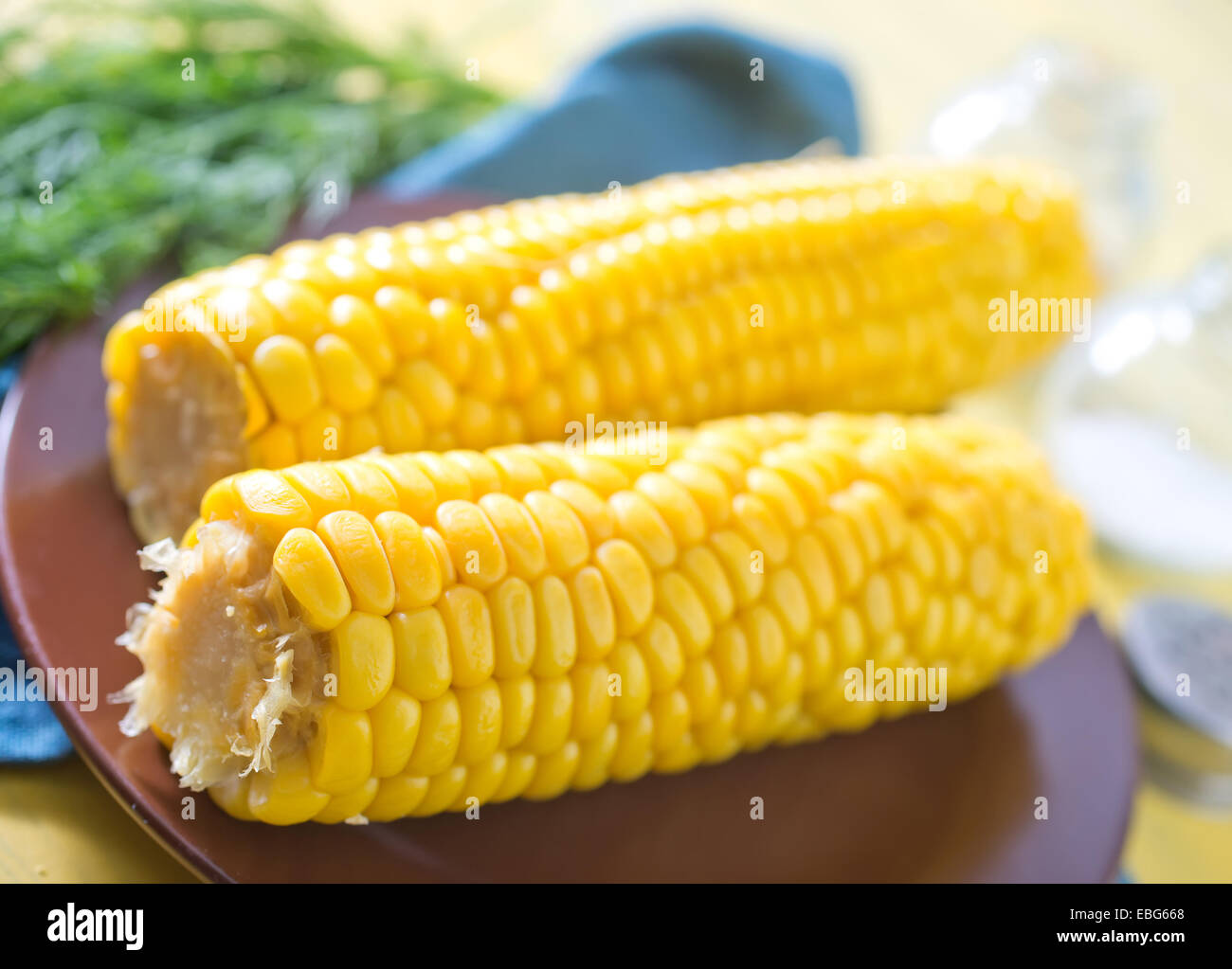 Harvested basket sweet corn on the cob hi-res stock photography and ...