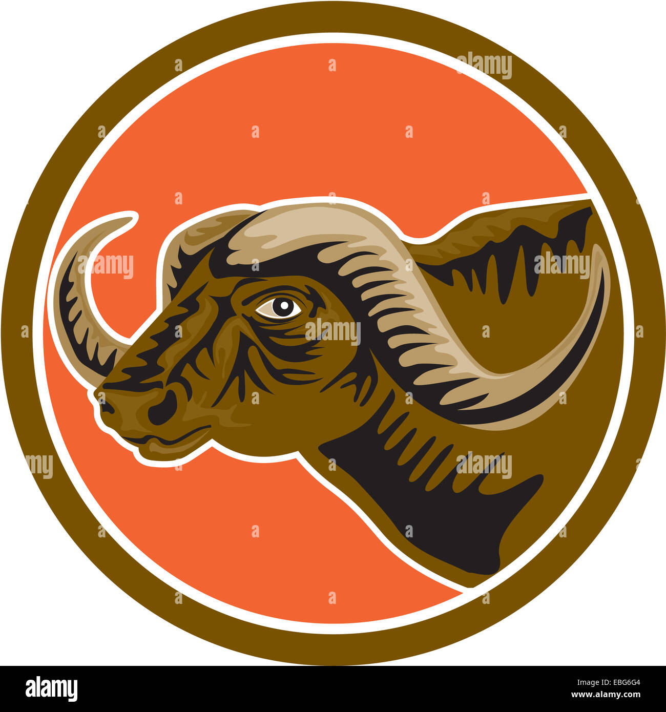 Illustration of an african buffalo head viewed from the side set inside ...