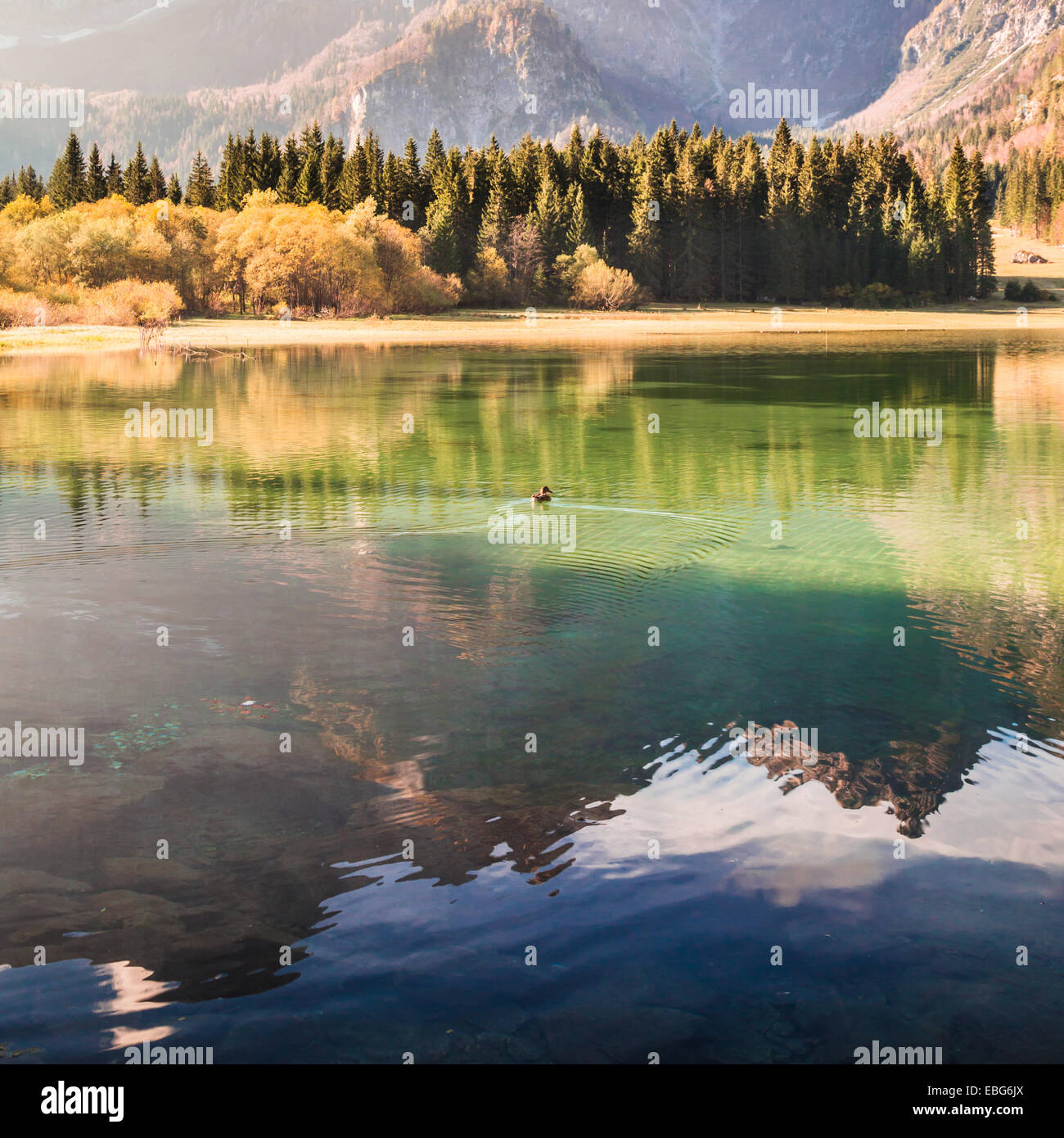 Fall coming in italian alps hi-res stock photography and images - Alamy