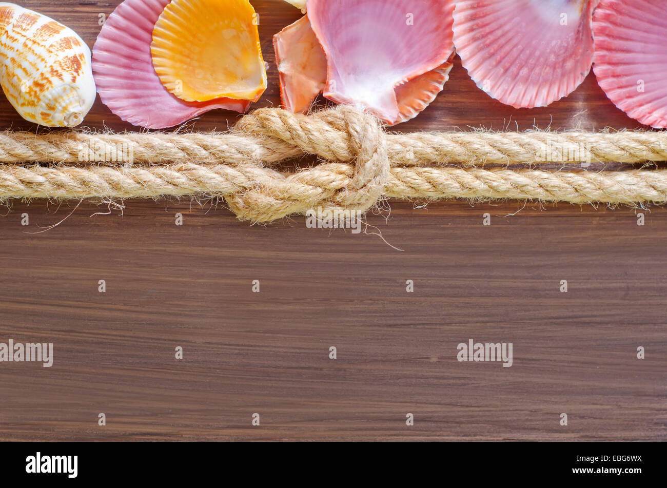 sea shells and rope Stock Photo - Alamy